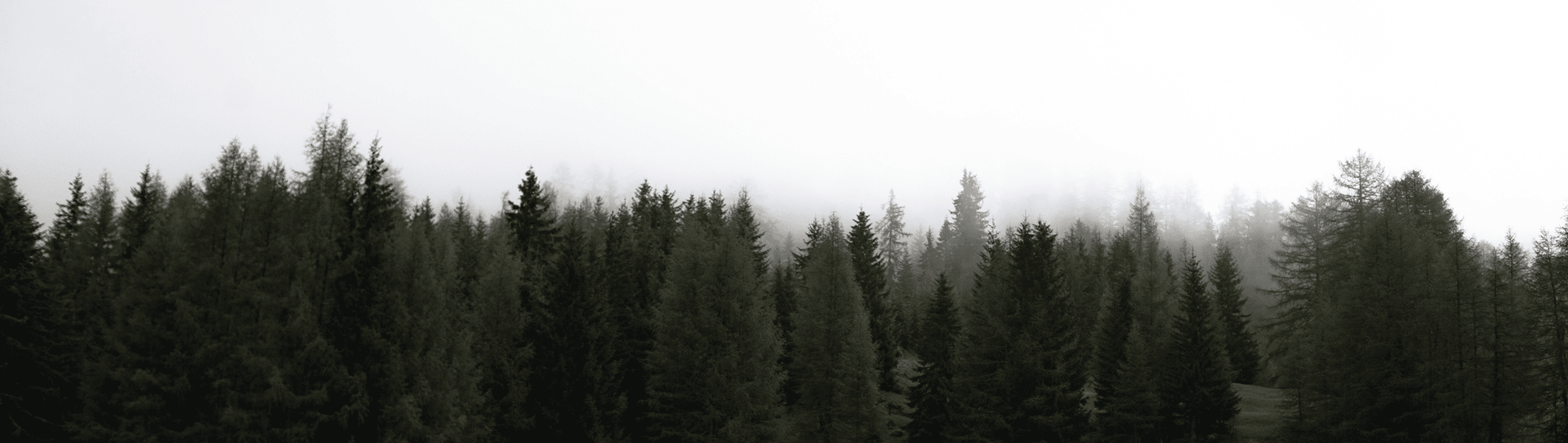 Vuber Earth - Vuber Vaporizers